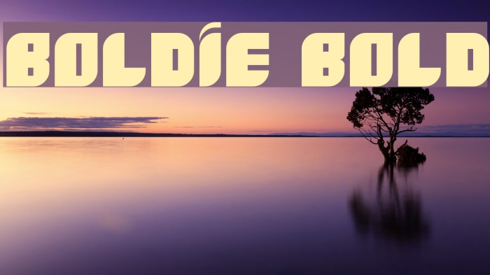 Boldie Bold Font - FFonts.net
