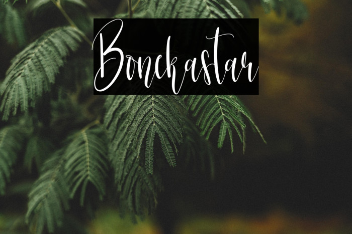 Bonekastar フォント - FFonts.net