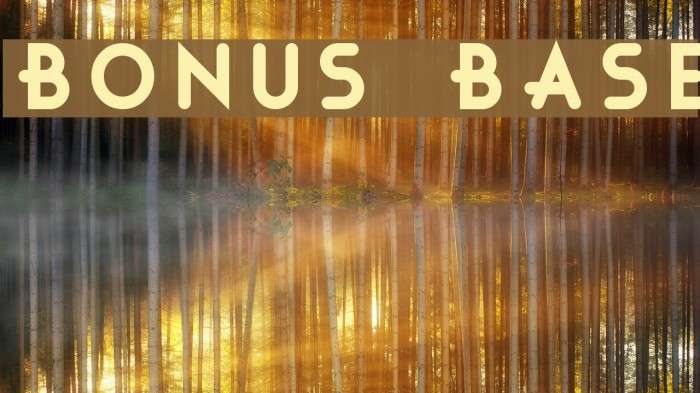 Bonus Base Font - FFonts.net