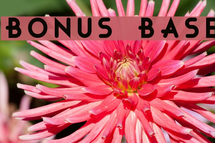 Bonus Base Font - FFonts.net