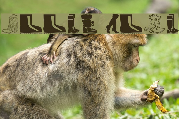 Boots Font - FFonts.net