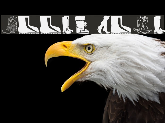 Boots Font - FFonts.net