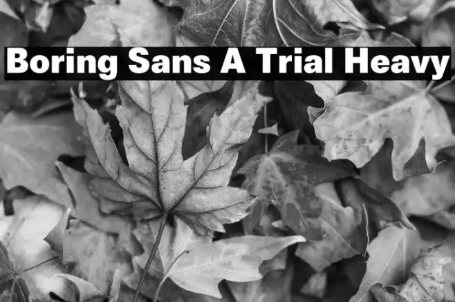 Boring Sans A Trial Heavy Font | Free Download (TTF/OTF) | FFonts.net