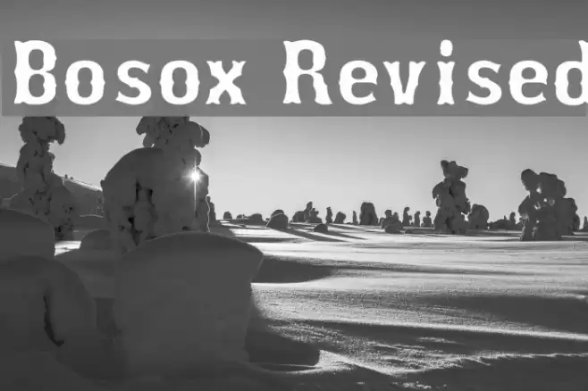 Bosox Revised Font | Free Download (TTF/OTF) | FFonts.net
