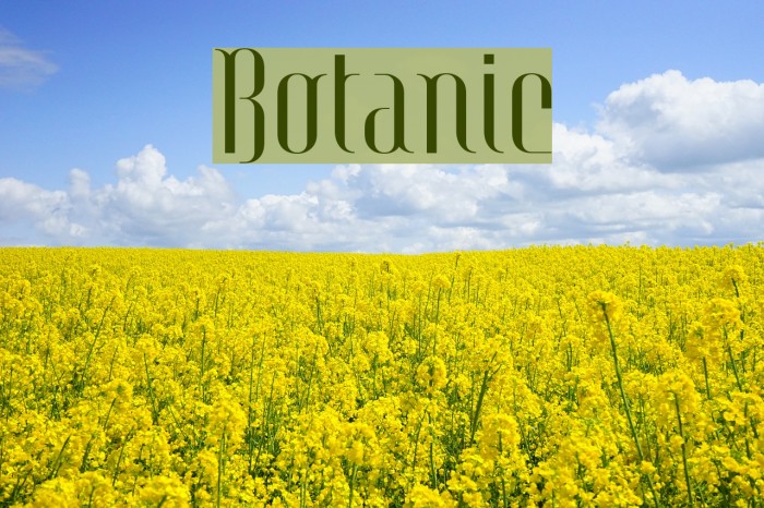 Botanic Font - FFonts.net