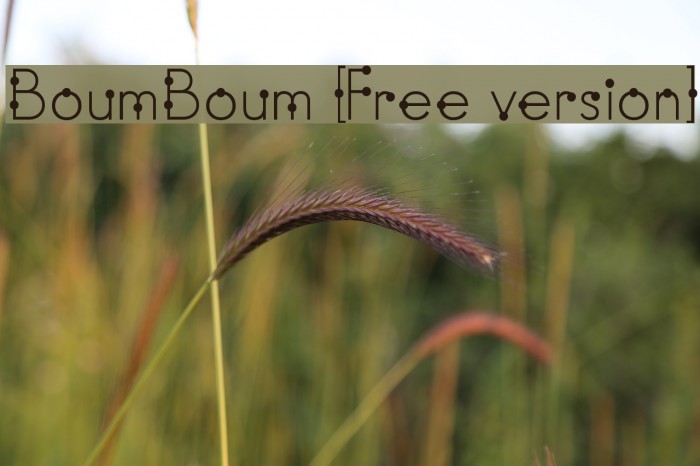BoumBoum [Free version] Font - FFonts.net