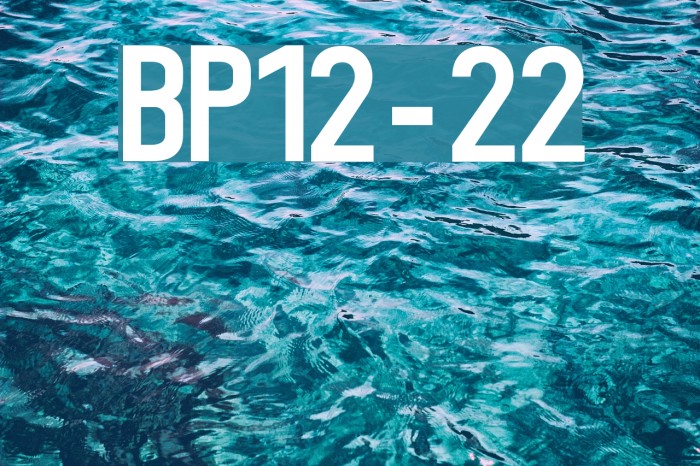BP12-22 Font - FFonts.net
