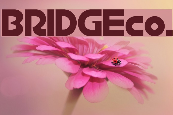 BRIDGEco. Font - FFonts.net