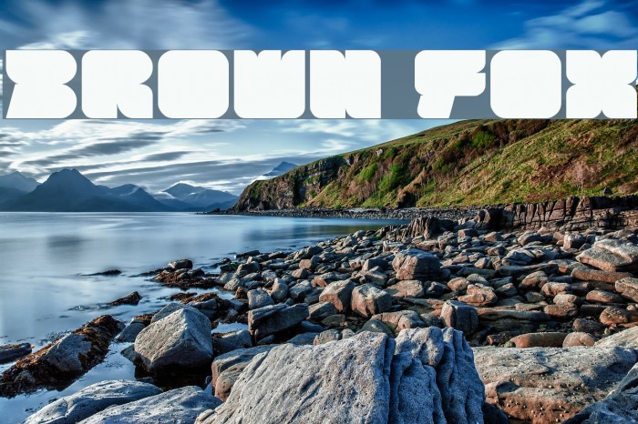 BROWN FOX Font - FFonts.net