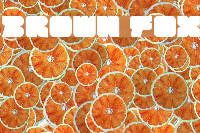 BROWN FOX Font - FFonts.net