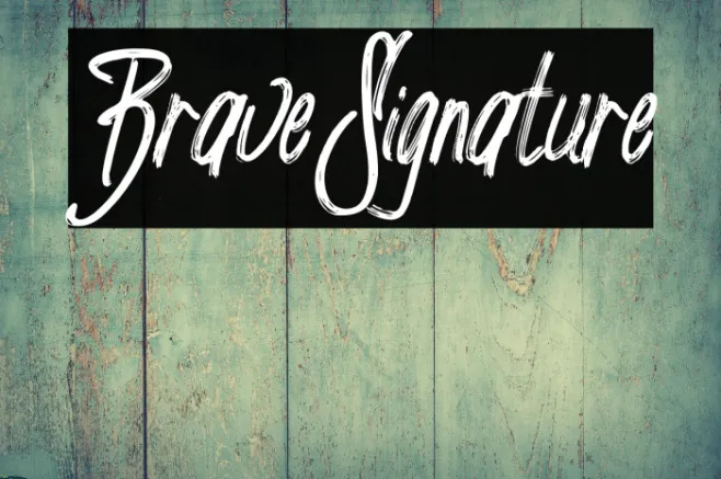 Brave_Signature Font | Free Download (TTF/OTF) | FFonts.net
