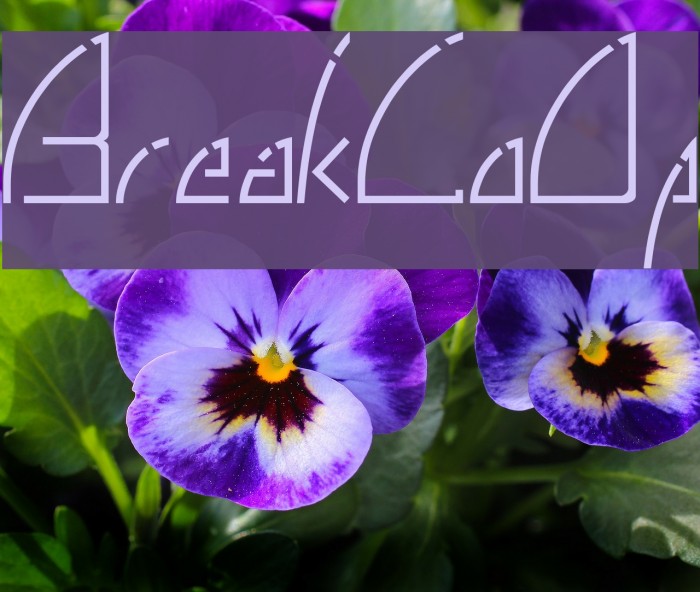 BreakLoOp Font - FFonts.net
