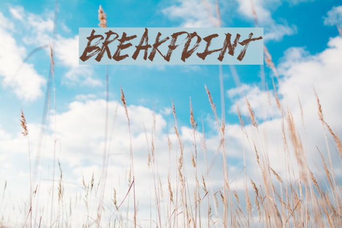 BreakPoint Font - FFonts.net
