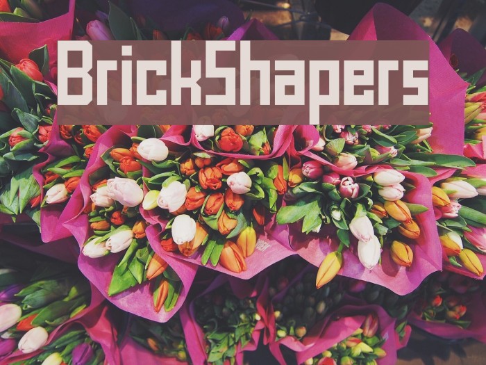BrickShapers Font - FFonts.net