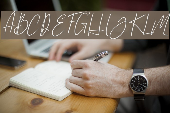 Brilliant Signature 1 Slant Font - FFonts.net