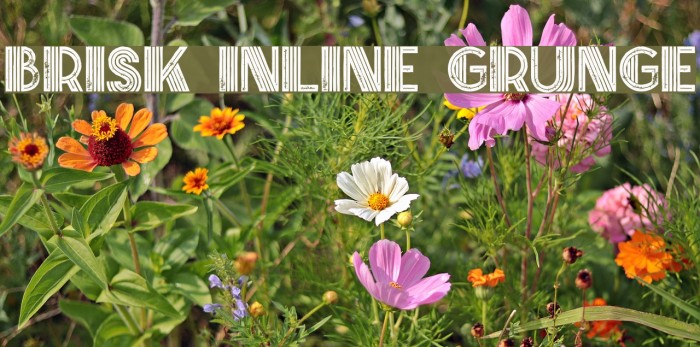 Brisk Inline Grunge Font - FFonts.net