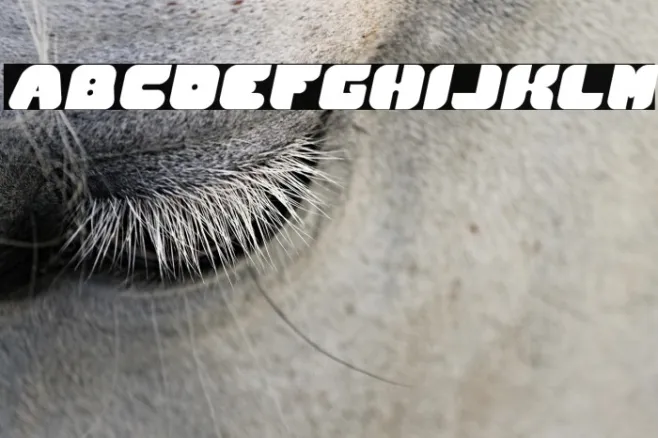 British Pop Music Italic Font | Free Download (TTF/OTF) | FFonts.net