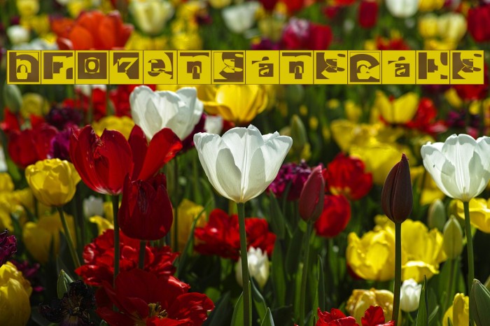 BrokenSansCaps Font - FFonts.net