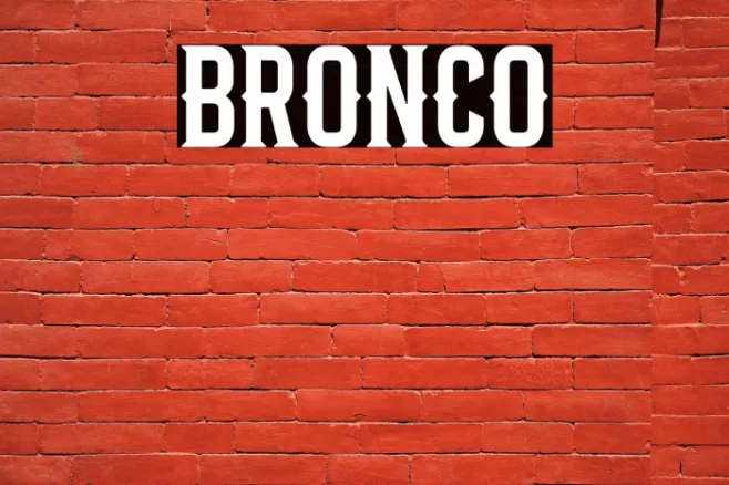 Bronco Font | Free Download (TTF/OTF) | FFonts.net