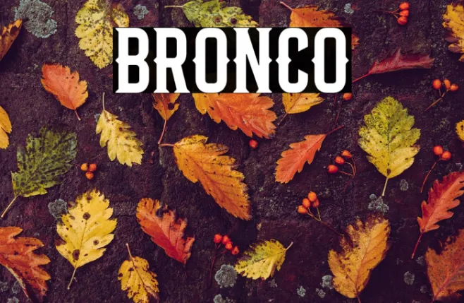 Bronco Font | Free Download (TTF/OTF) | FFonts.net
