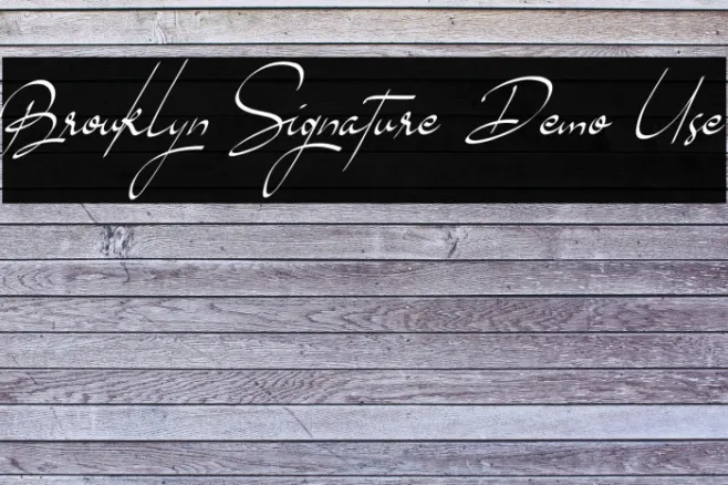 Brouklyn Signature Demo Use Font | Free Download (TTF/OTF) | FFonts.ne