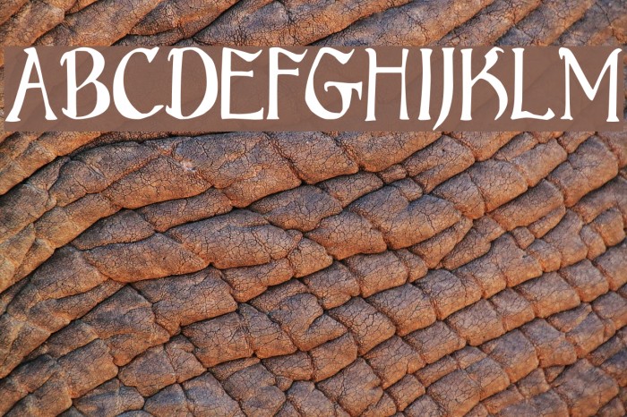 Bruce Standard Text Font - FFonts.net