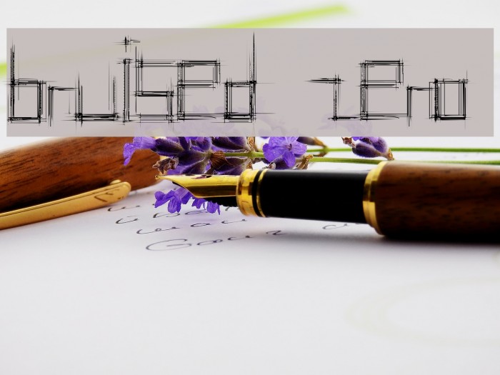 Bruised Zero Font - FFonts.net