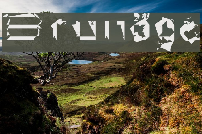 Brunöga Font - FFonts.net