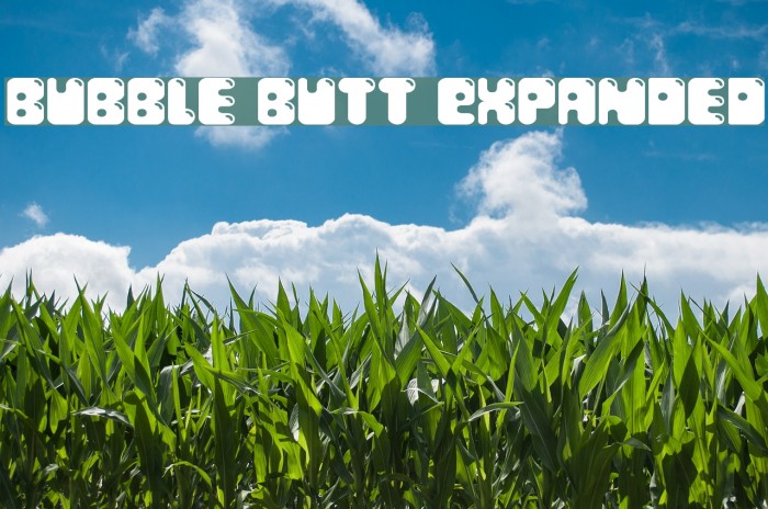 Bubble Butt Expanded Font - FFonts.net
