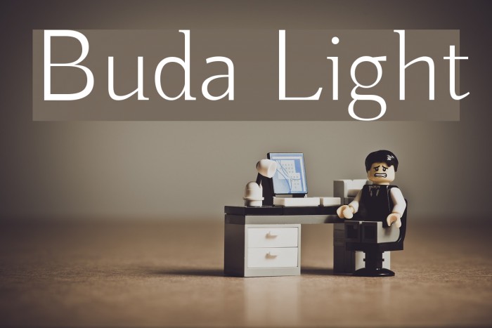 Buda Light Font - FFonts.net