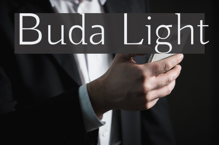 Buda Light Font - FFonts.net