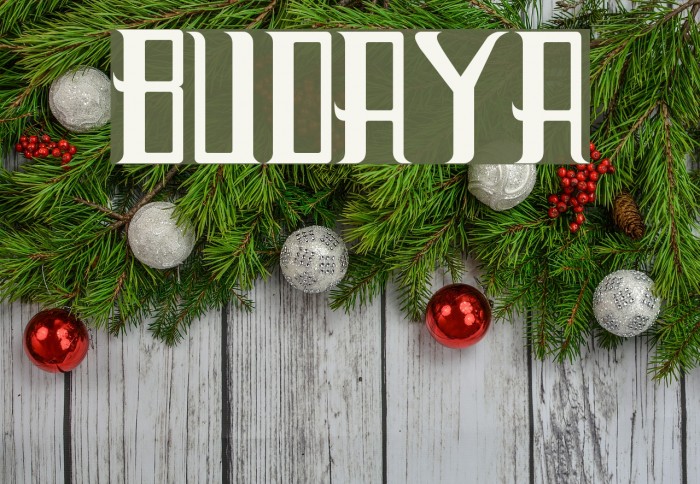 Budaya Font - FFonts.net