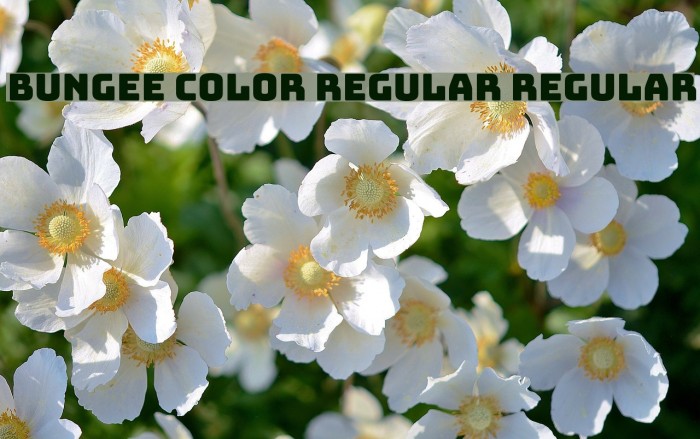 Bungee Color Regular Regular Font - FFonts.net