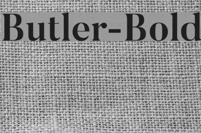 Butler-Bold Font - Free Download (TTF/OTF) | FFonts.net