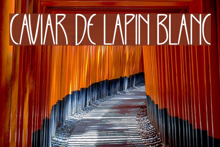 CAVIAR DE LAPIN BLANC Font - FFonts.net