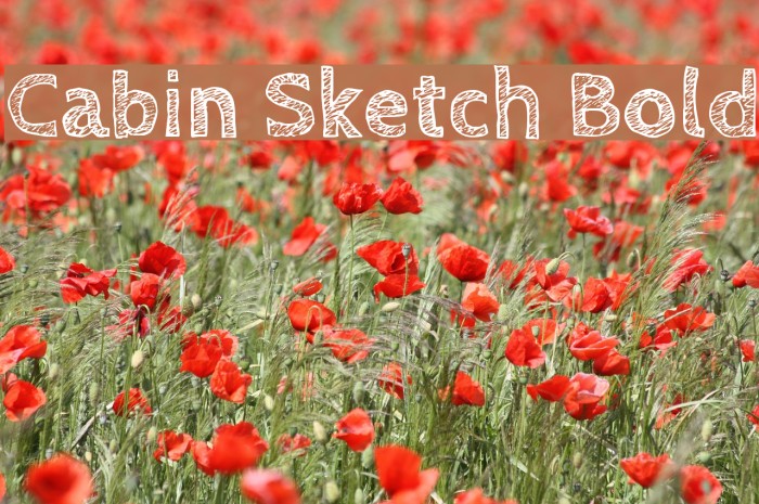 Cabin Sketch Bold Font - FFonts.net