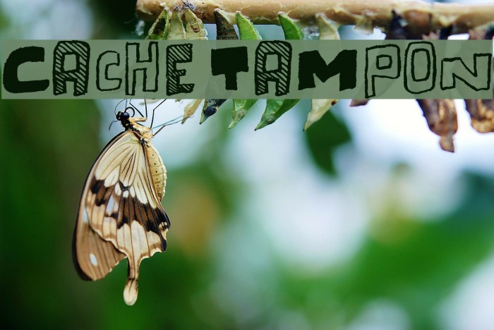 Cache Tampon Font - FFonts.net