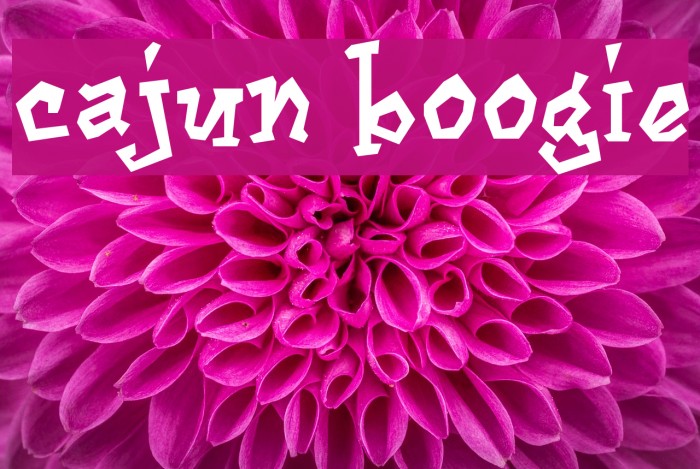 Cajun Boogie Font - FFonts.net