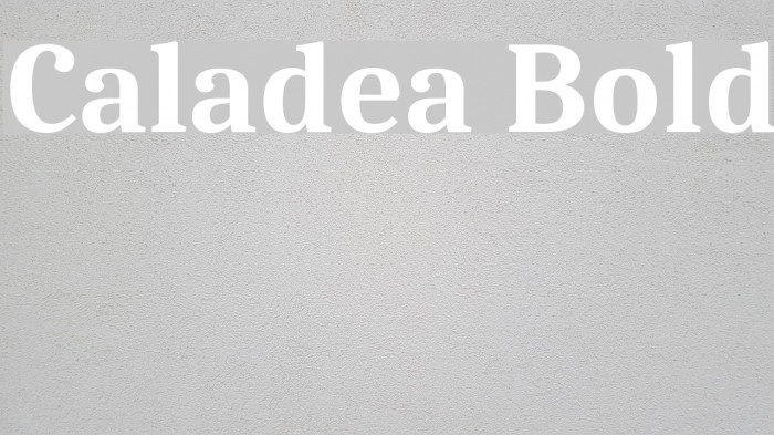 Caladea Bold Font - free fonts download