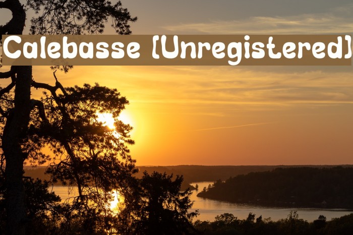 Calebasse [Unregistered] Font - FFonts.net