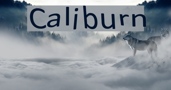 Caliburn Font - FFonts.net