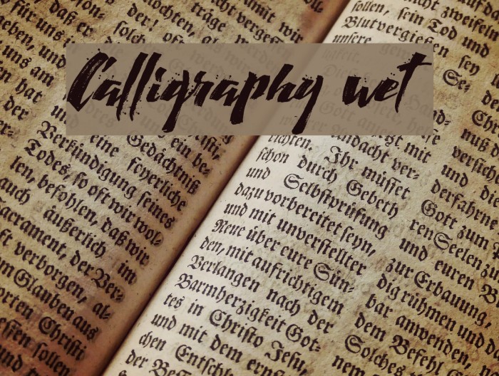 Calligraphy wet Font - FFonts.net