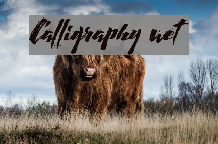 Calligraphy wet Font - FFonts.net