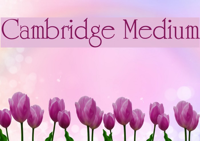 Cambridge Medium Font - FFonts.net