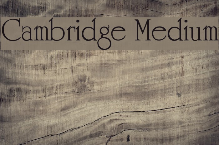 Cambridge Medium Font - FFonts.net