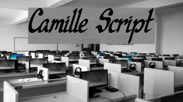 Camille Script Font - FFonts.net