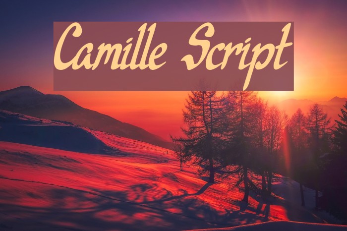 Camille Script Font - FFonts.net