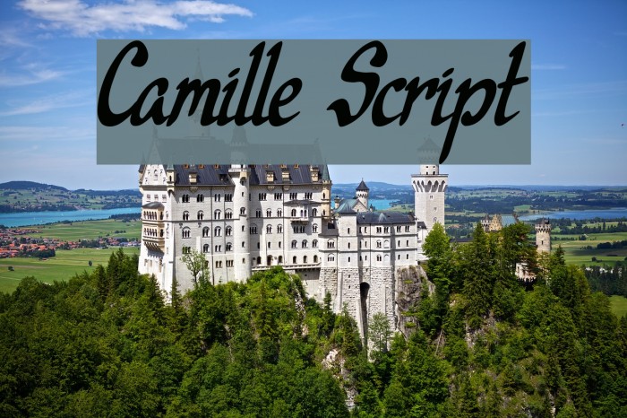 Camille Script Font - FFonts.net