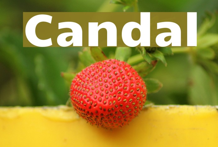 Candal Font - FFonts.net