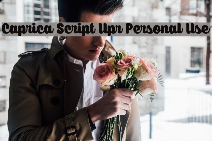 Caprica Script Upr Personal Use Font - FFonts.net